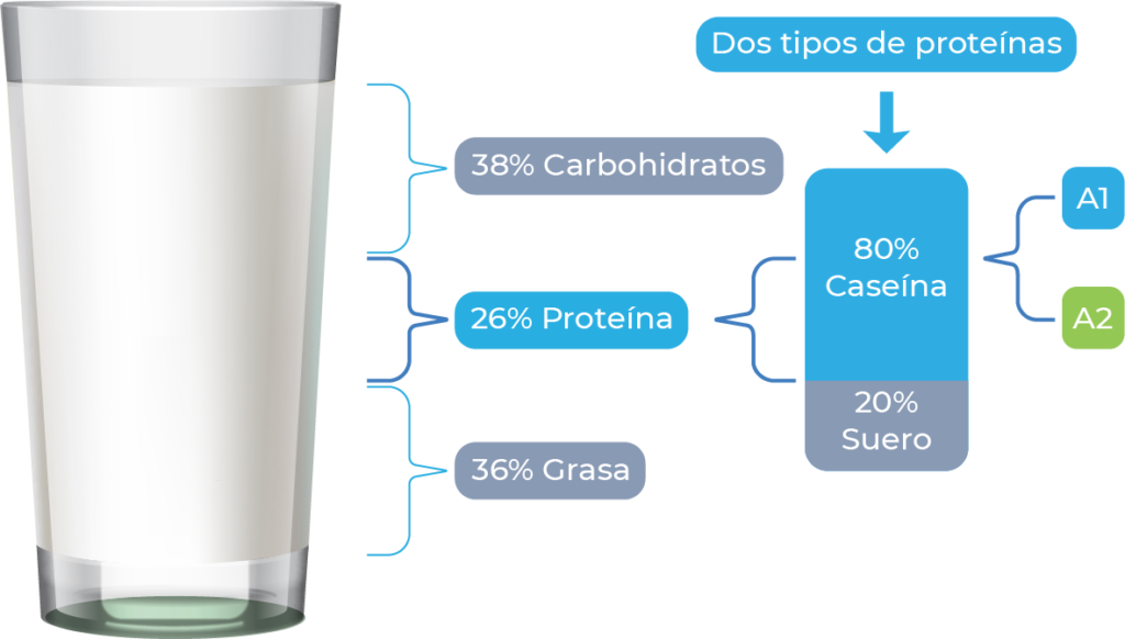Lo bueno, aún más bueno – Leches Dos Pinos