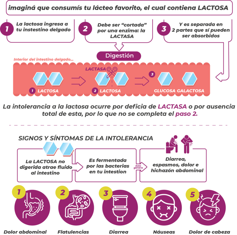 Intolerancia a la lactosa – Leches Dos Pinos