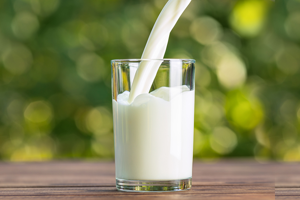 Leche Pastoreo – Leches Dos Pinos