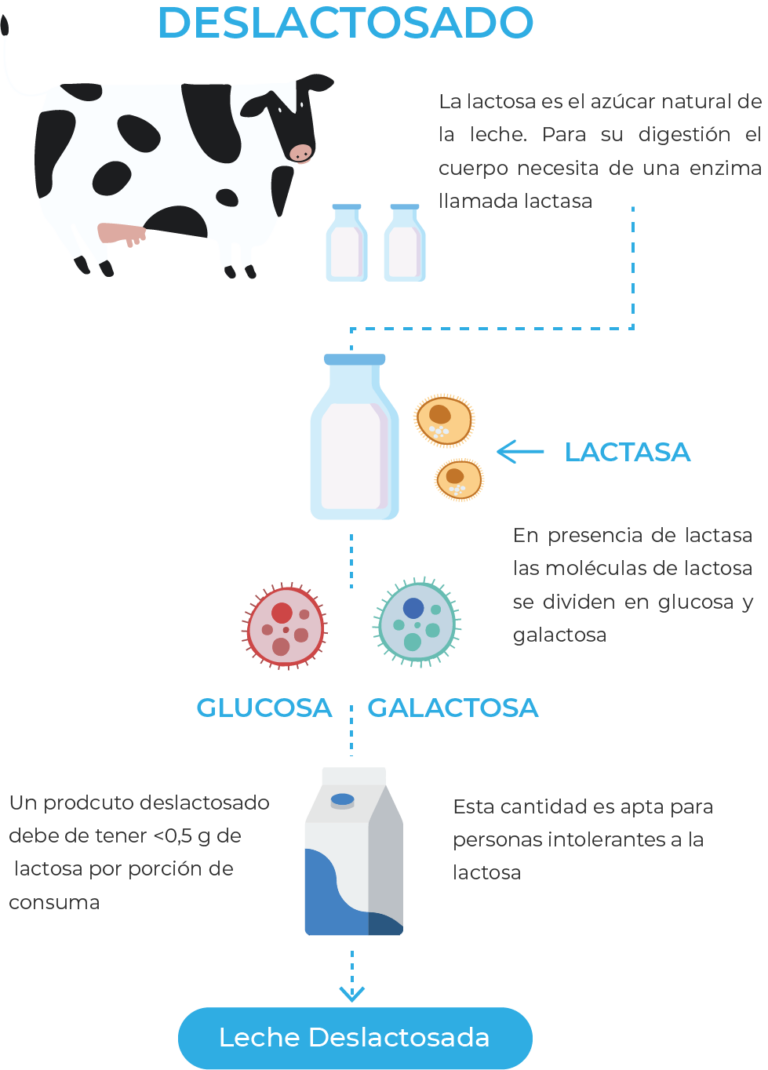 ¿Qué hay detrás de un vaso delactomy? – Leches Dos Pinos