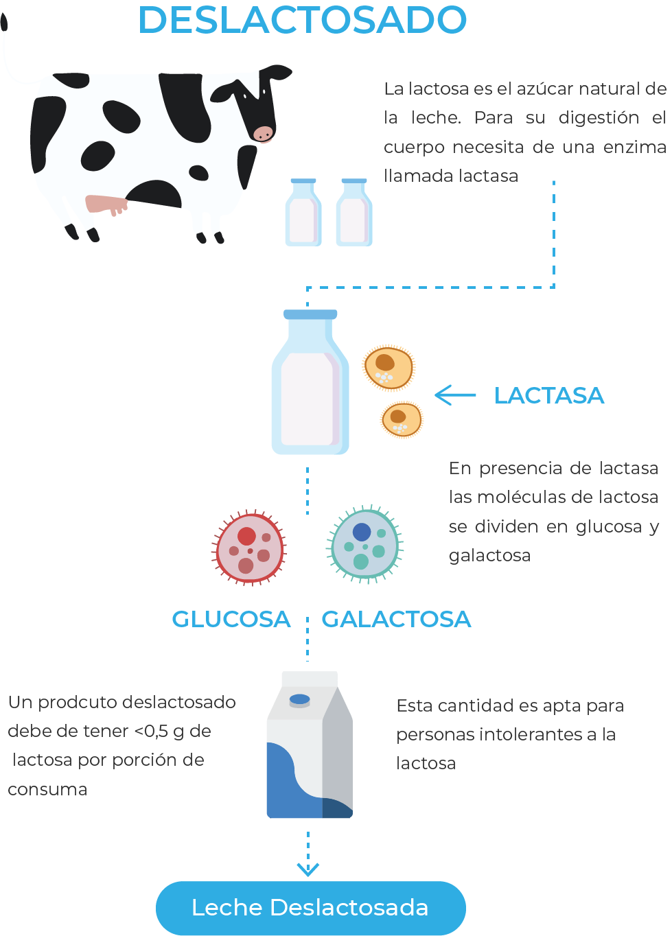¿Qué hay detrás de un vaso delactomy? – Leches Dos Pinos